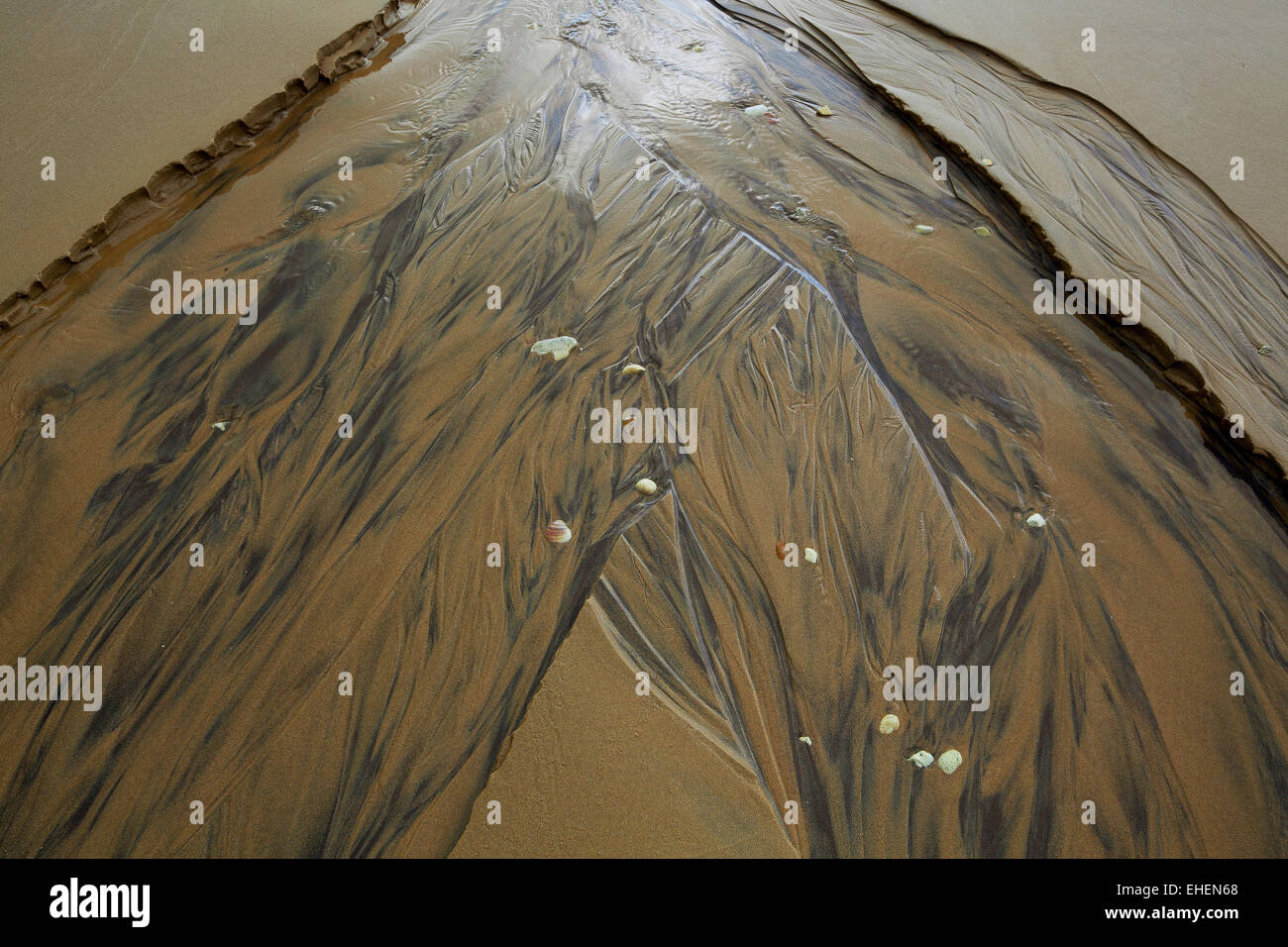 Tidal beaches hi-res stock photography and images - Alamy