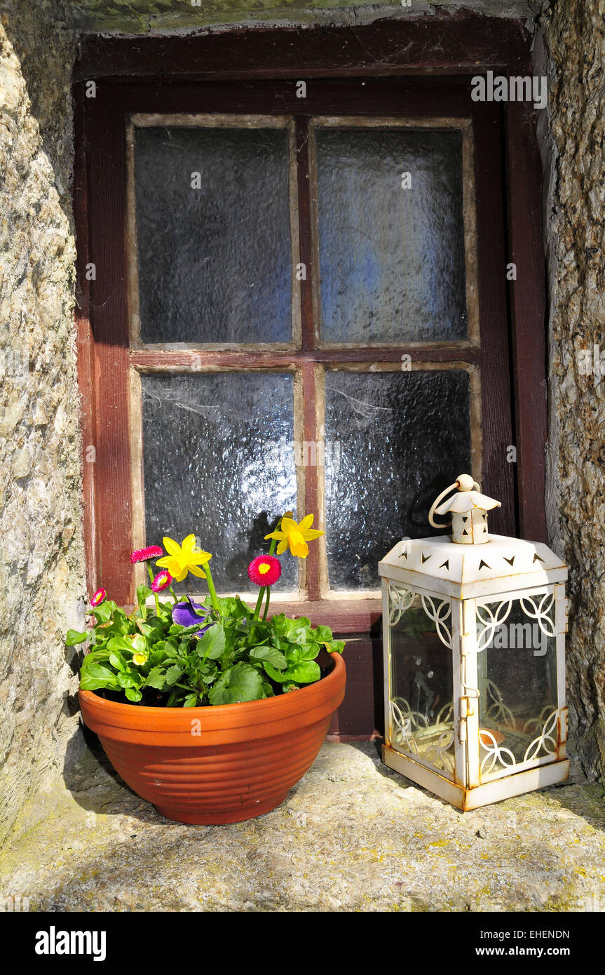 Spring flower pots hut garden hi-res stock photography and images - Alamy