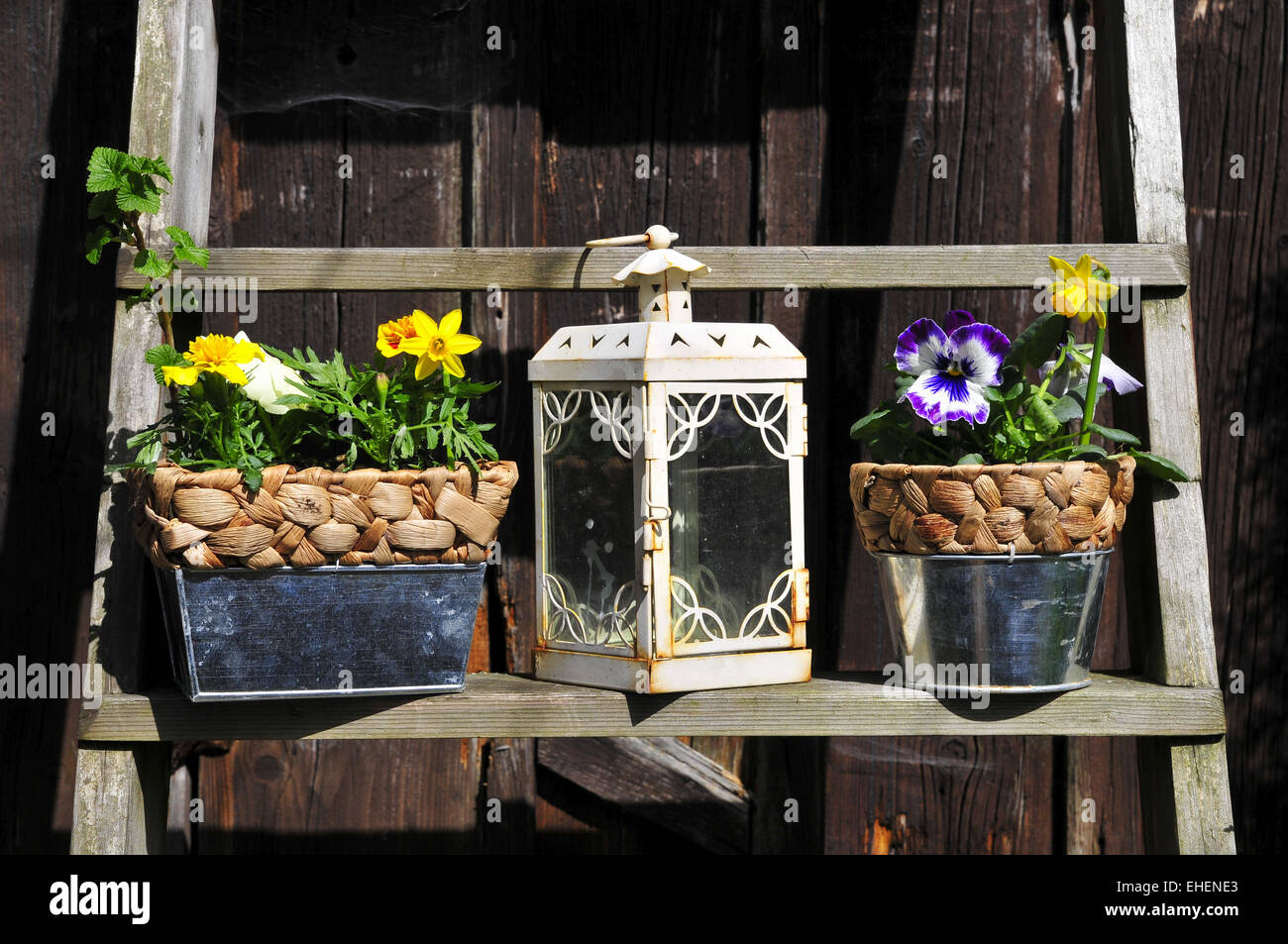 Spring vegetable garden decoration Stock Photo - Alamy
