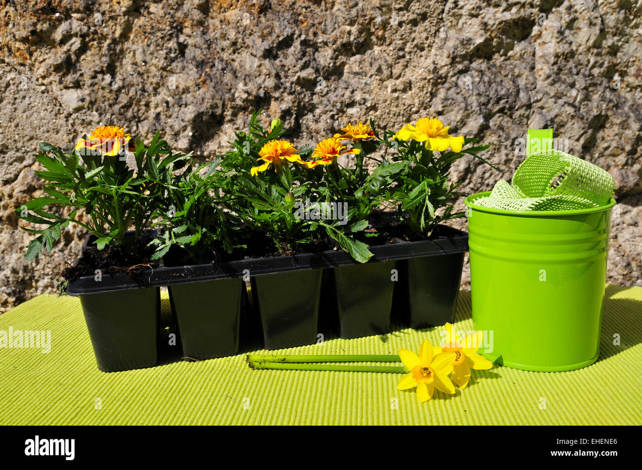 Spring vegetable garden decoration Stock Photo - Alamy