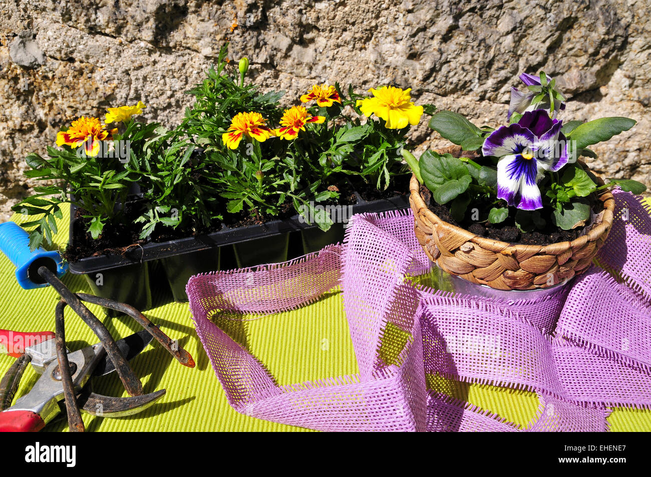 Spring vegetable garden decoration Stock Photo - Alamy