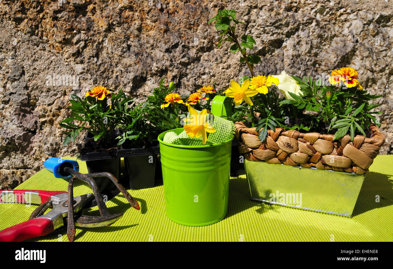 Spring vegetable garden decoration Stock Photo - Alamy