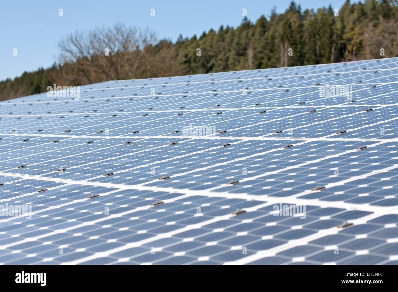 solar energy and forest Stock Photo - Alamy