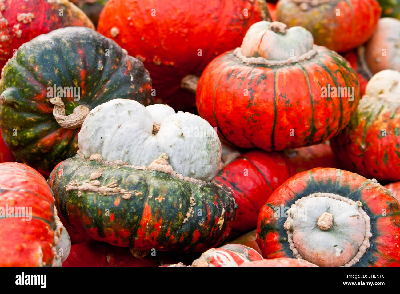 Squash Red Turban Stock Photo - Alamy
