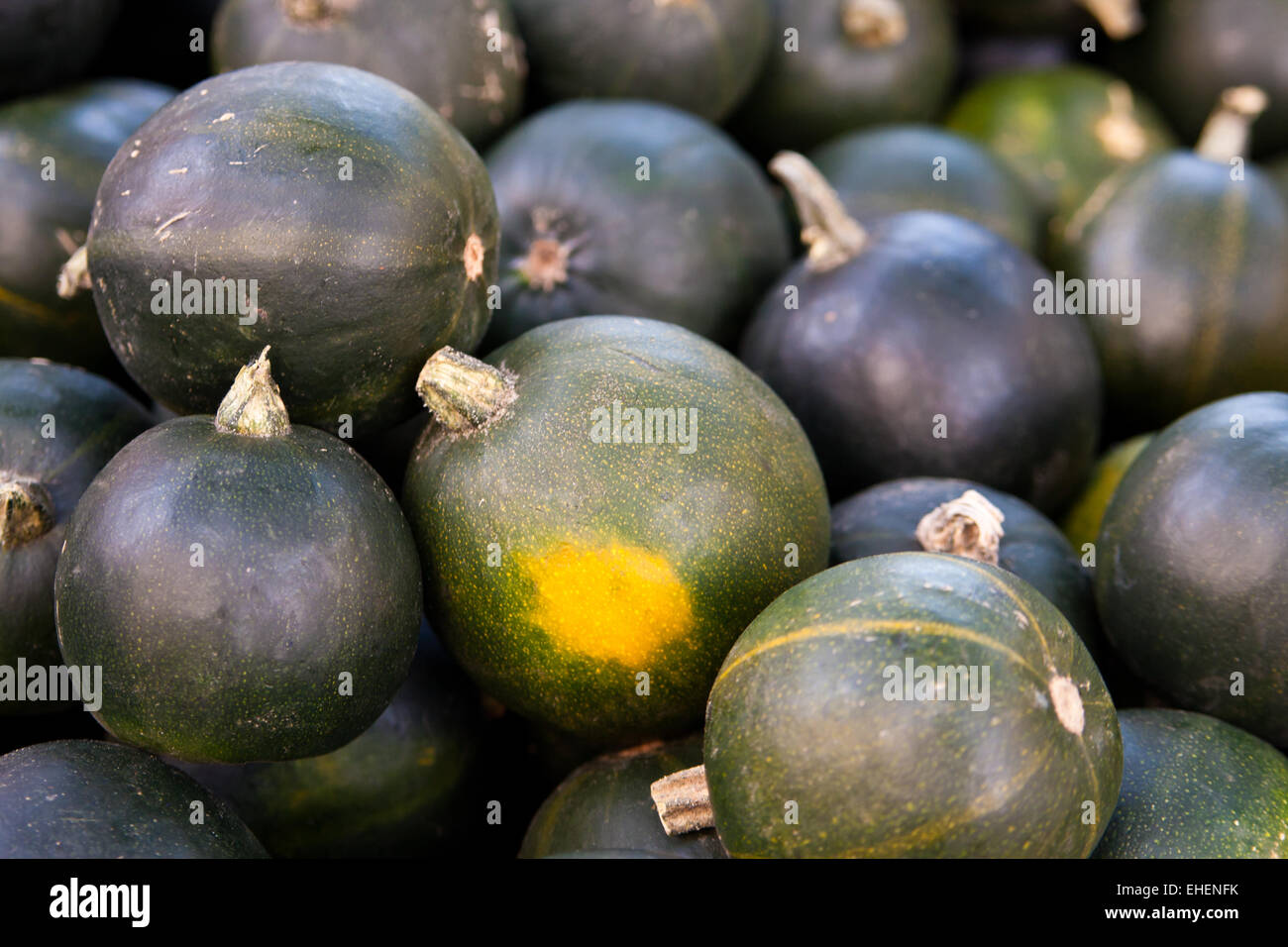 Rondini hi-res stock photography and images - Alamy