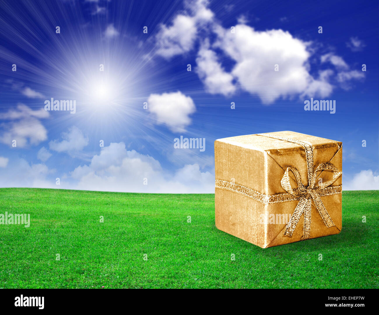 Wedding on field hi-res stock photography and images - Alamy