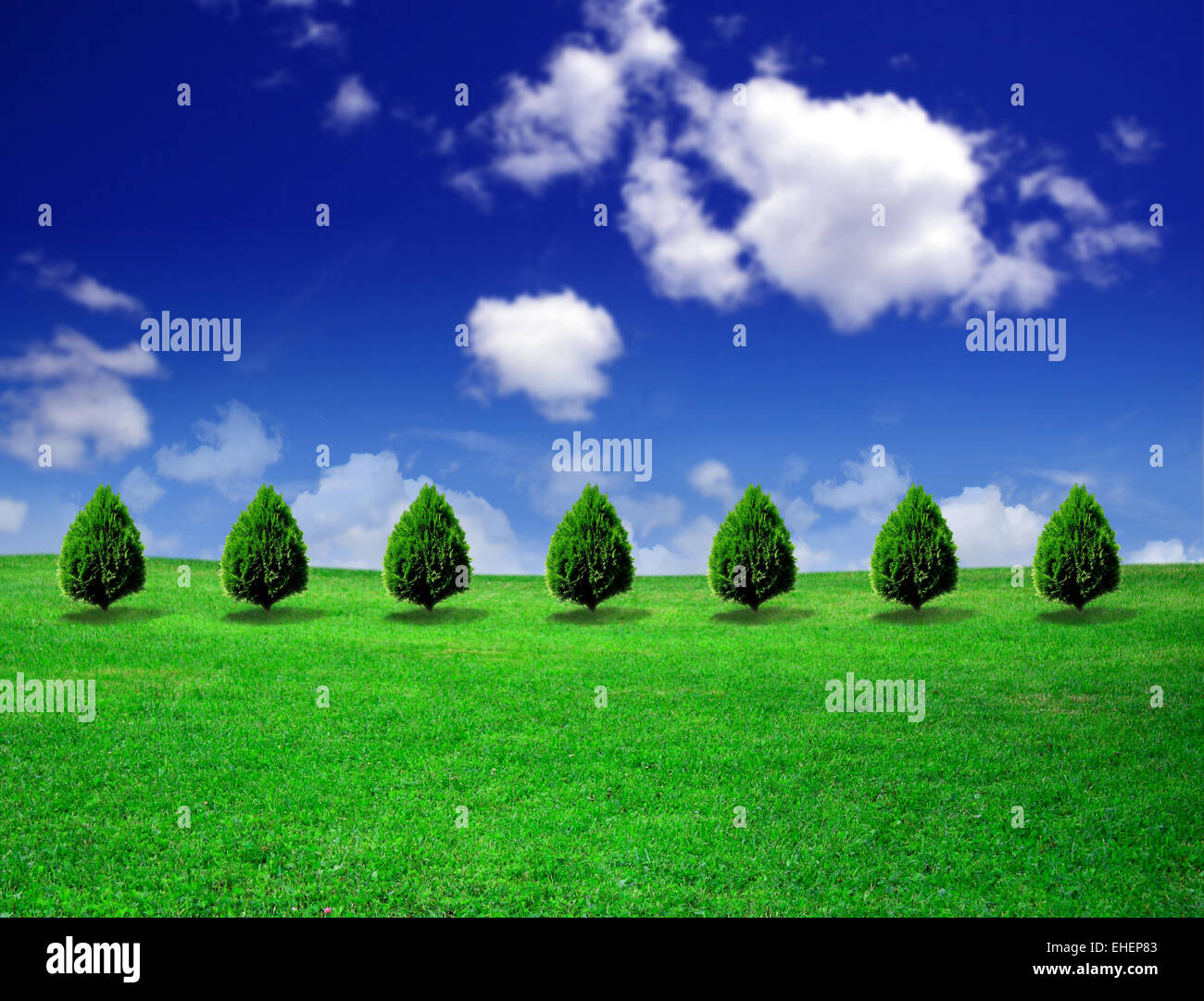Line of trees on horizon hi-res stock photography and images - Alamy