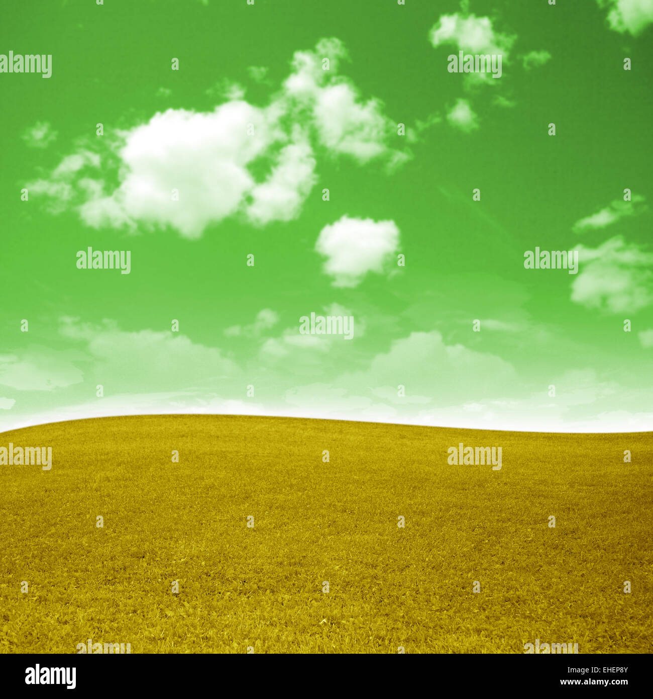 Yellow field beautiful Stock Photo - Alamy