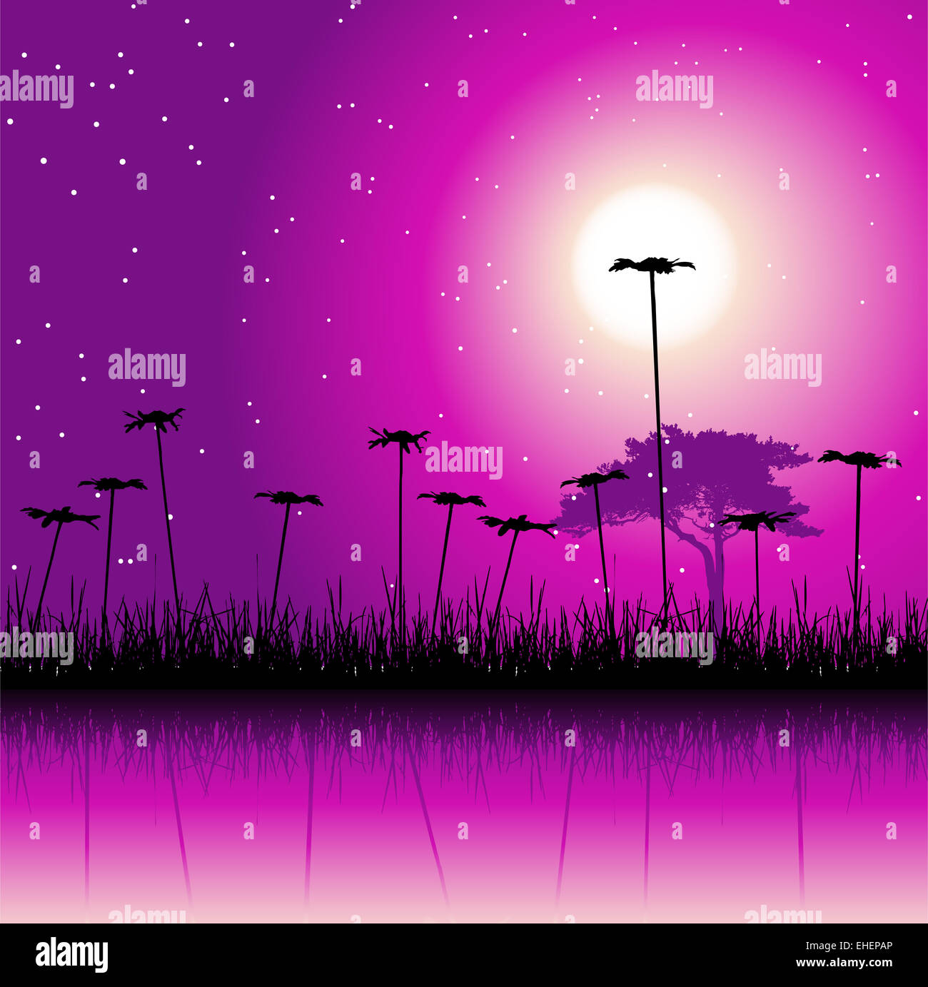 Field daisy flowers night hi-res stock photography and images - Alamy