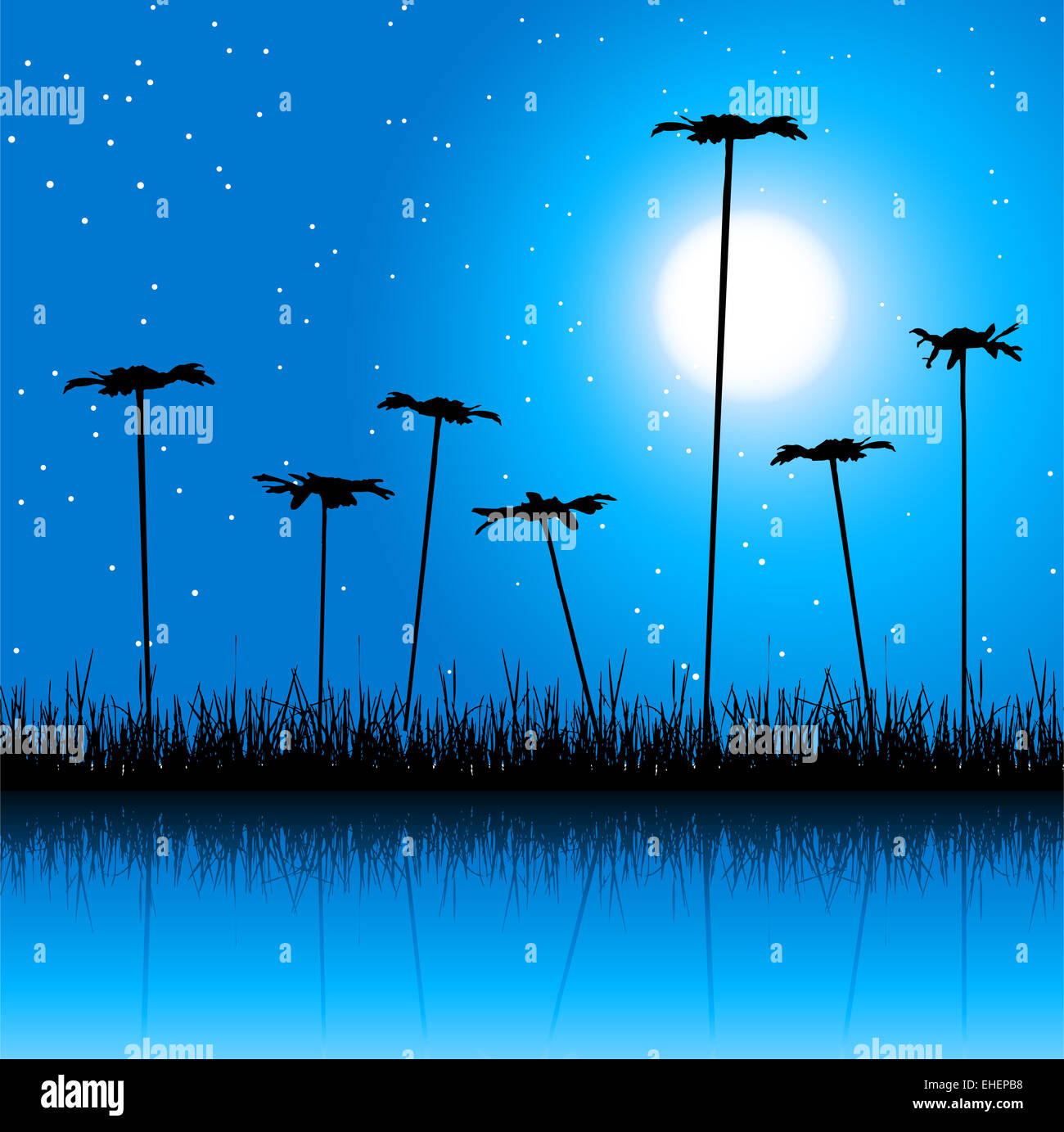 Night field and flowers Stock Photo - Alamy