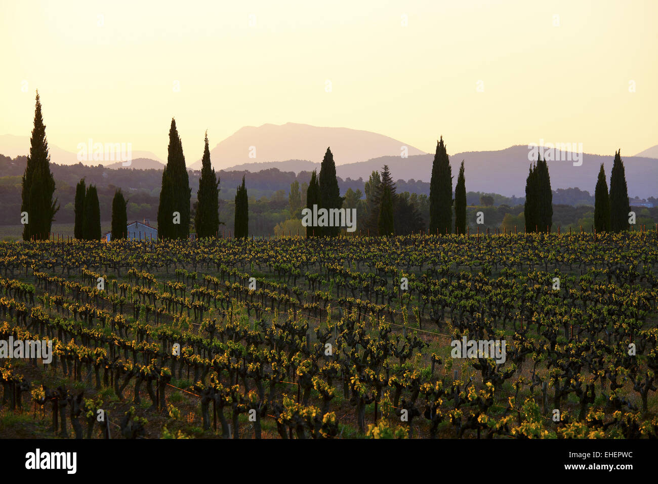 Dawn french house hi-res stock photography and images - Alamy