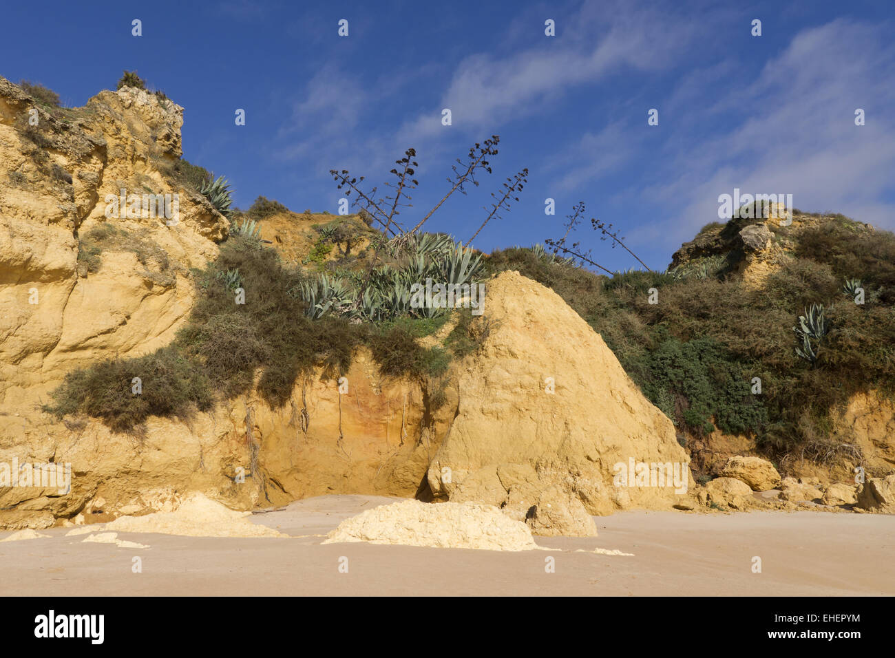 Beach in Albufeira Stock Photo - Alamy