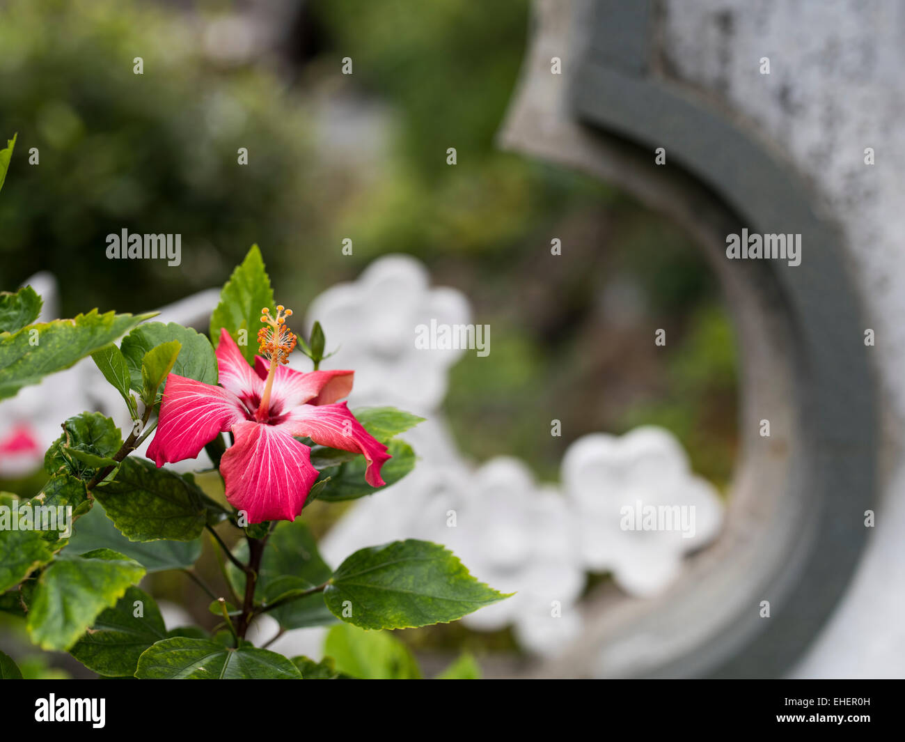 Fukushuen / Fukusyuen / Fukushu Garden, Naha City. Okinawa, Japan ...