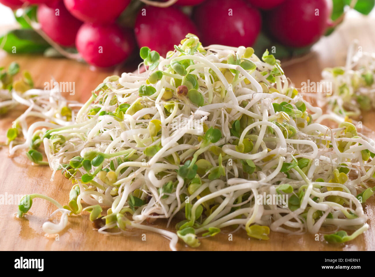Radish sprouts hi-res stock photography and images - Alamy