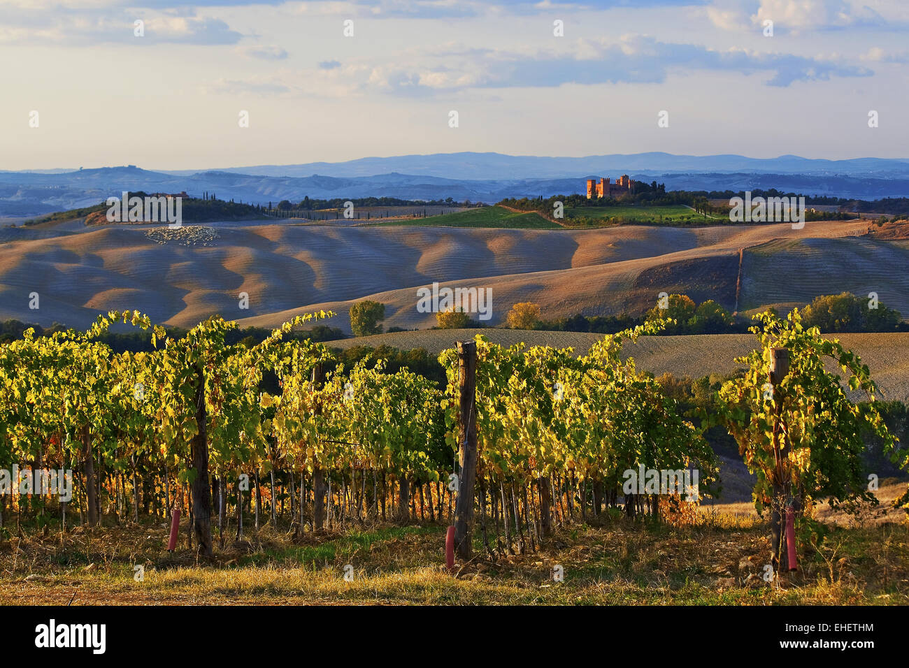 view to the Castello di Gallico, Tuscany Stock Photo - Alamy
