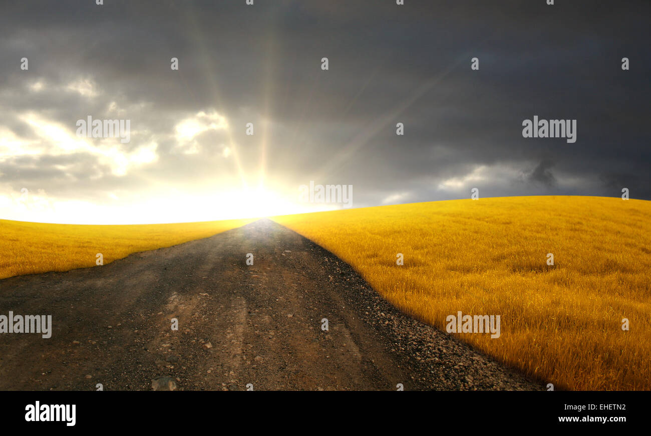Road on grain field Stock Photo - Alamy