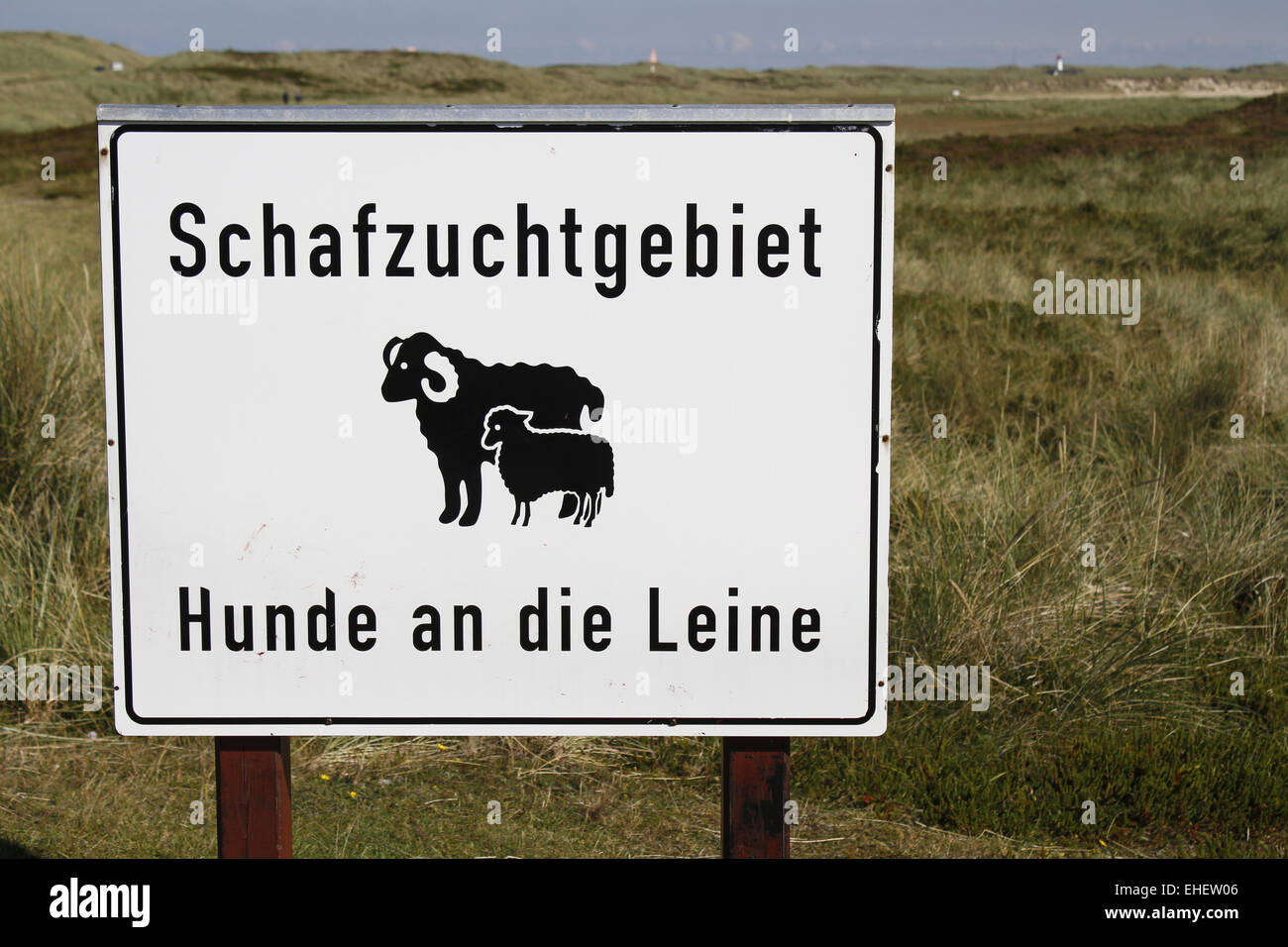 Sheep farming hi-res stock photography and images - Alamy