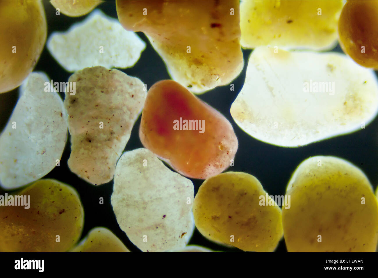 Sand microscope hi-res stock photography and images - Alamy