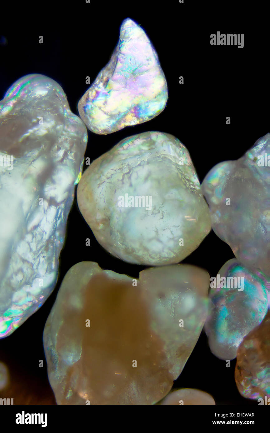 Sand microscope hi-res stock photography and images - Alamy