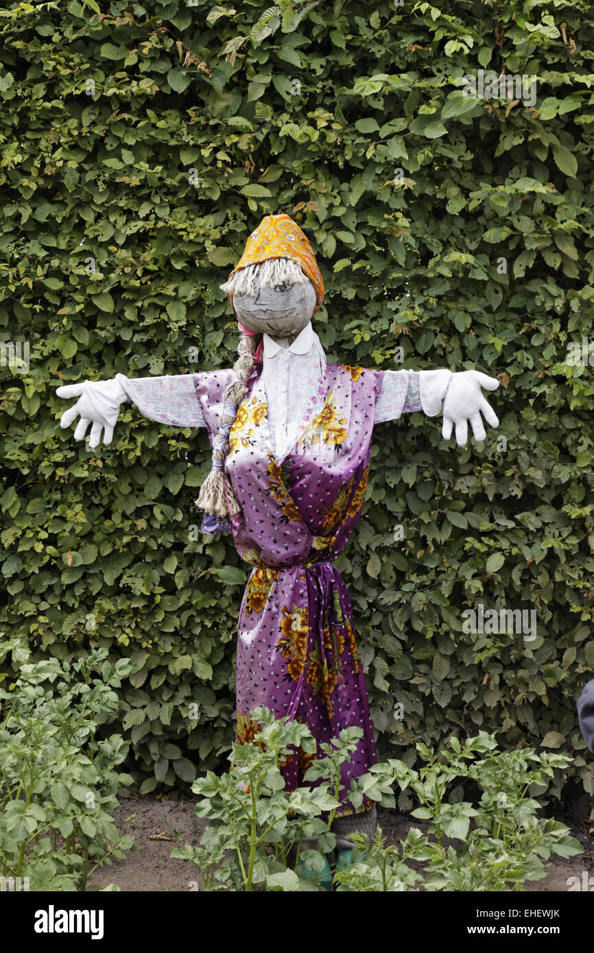 Violet crow hi-res stock photography and images - Alamy