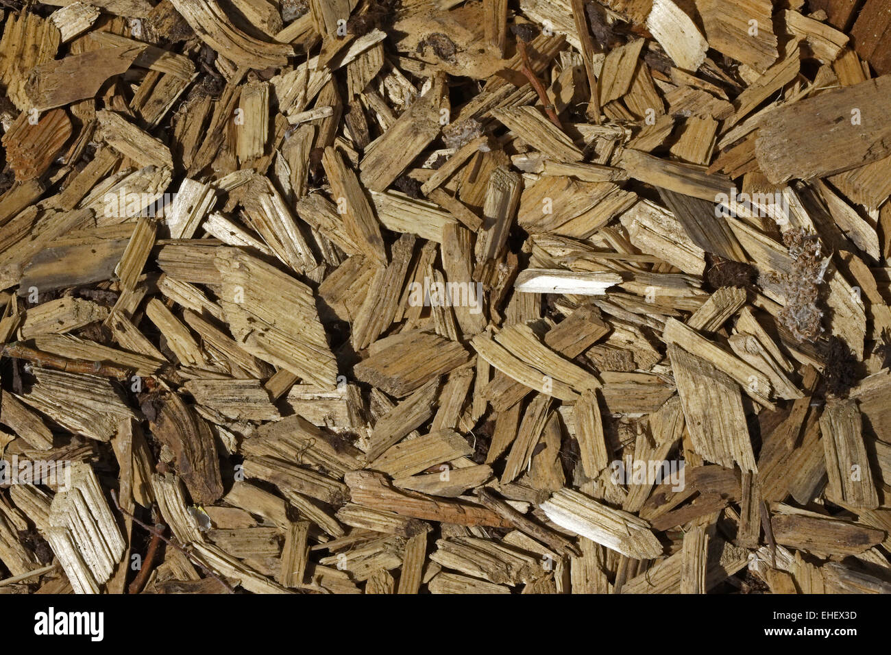 Sliver hi-res stock photography and images - Alamy