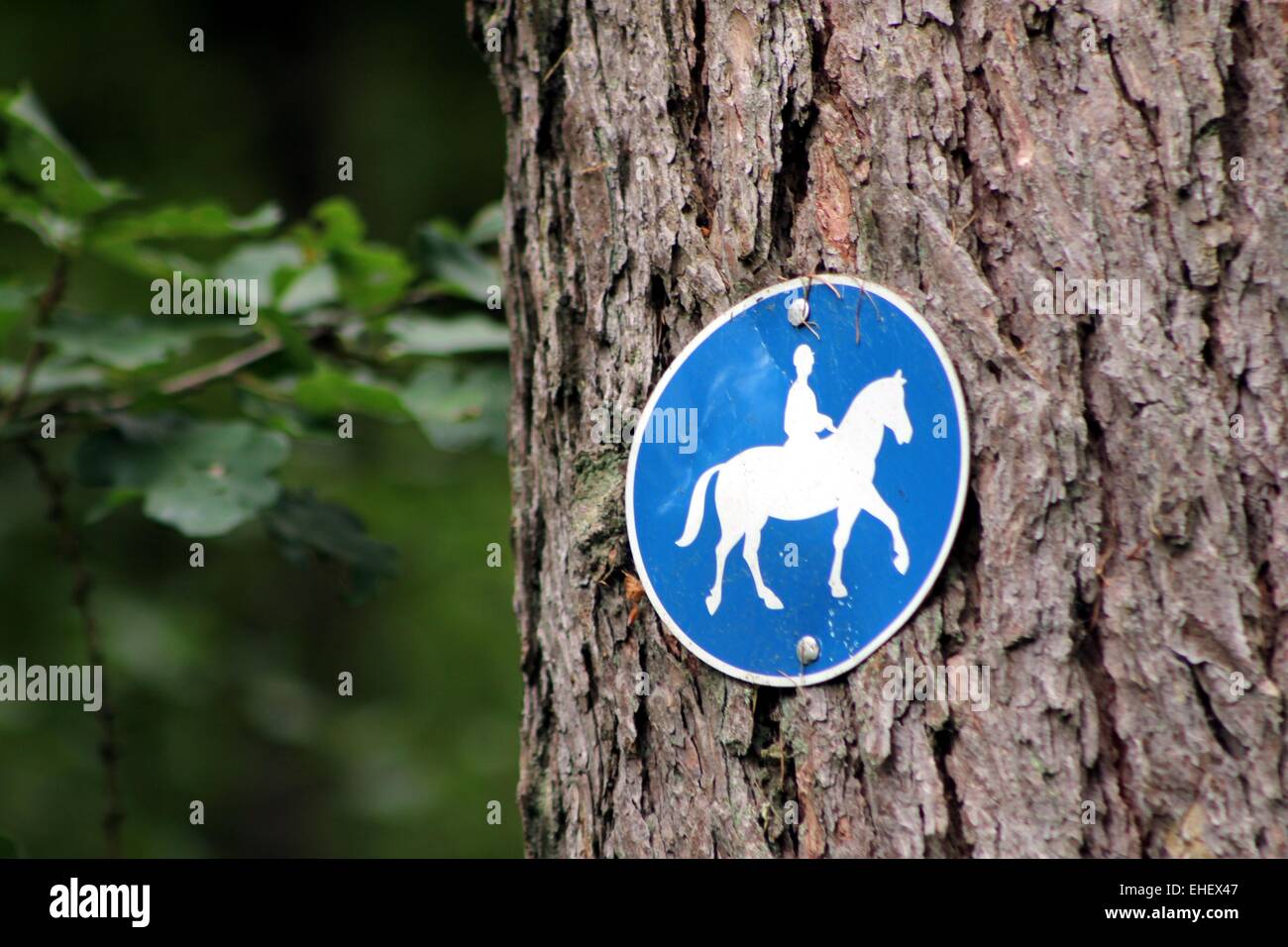 horse riding sign Stock Photo - Alamy