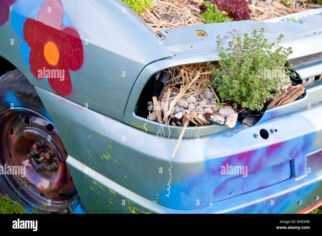Car plants hi-res stock photography and images - Alamy