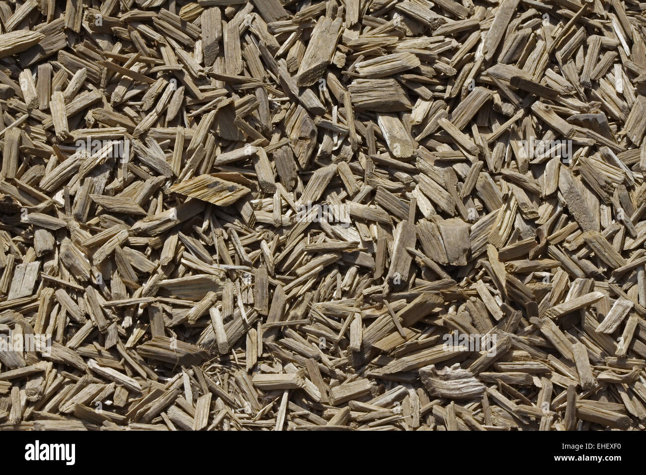 Sliver hi-res stock photography and images - Alamy