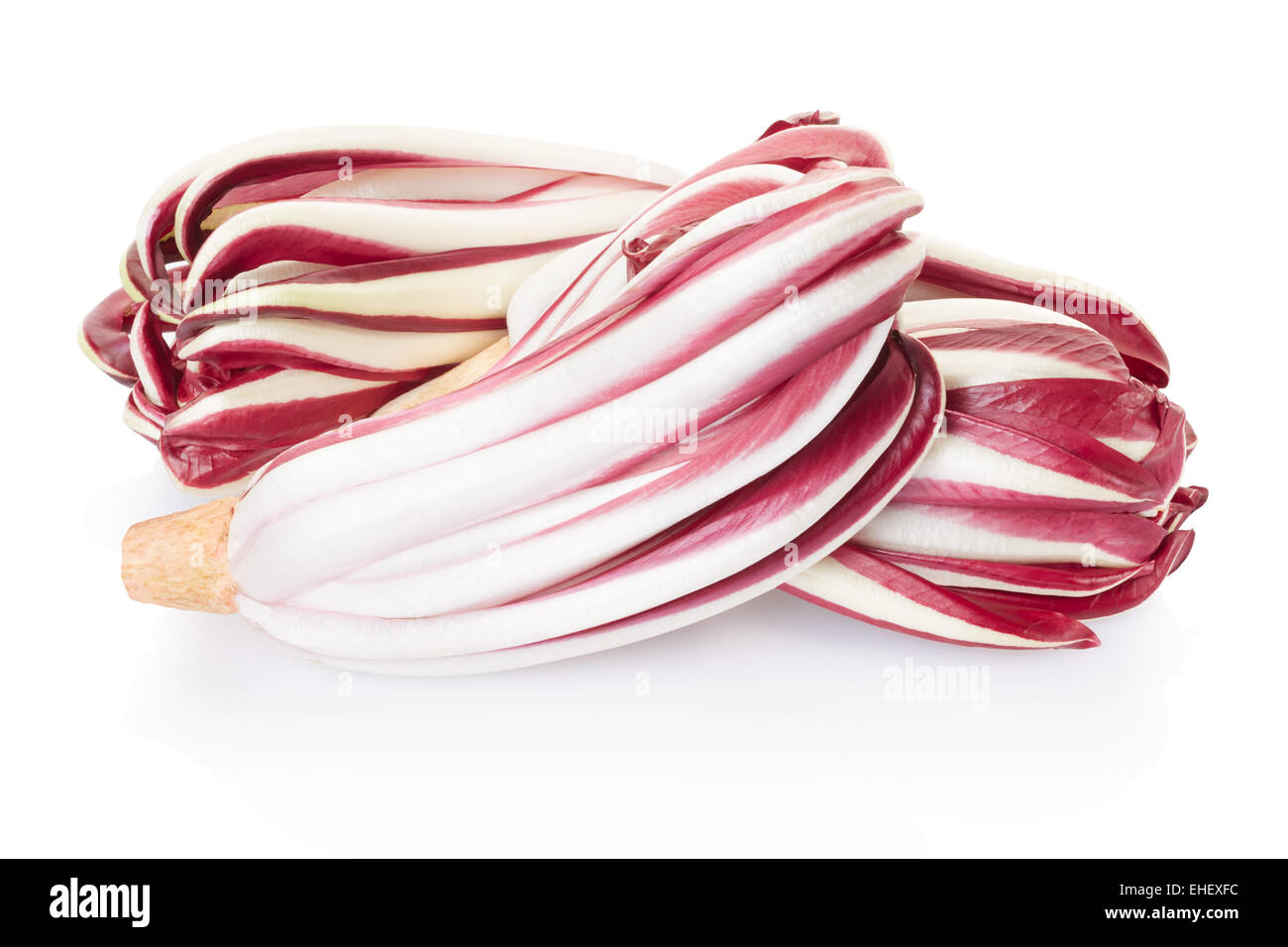 Radicchio, red Treviso salad group Stock Photo - Alamy