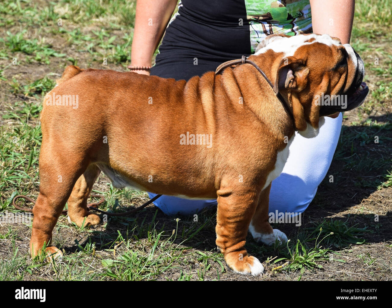 High angle show hi-res stock photography and images - Alamy