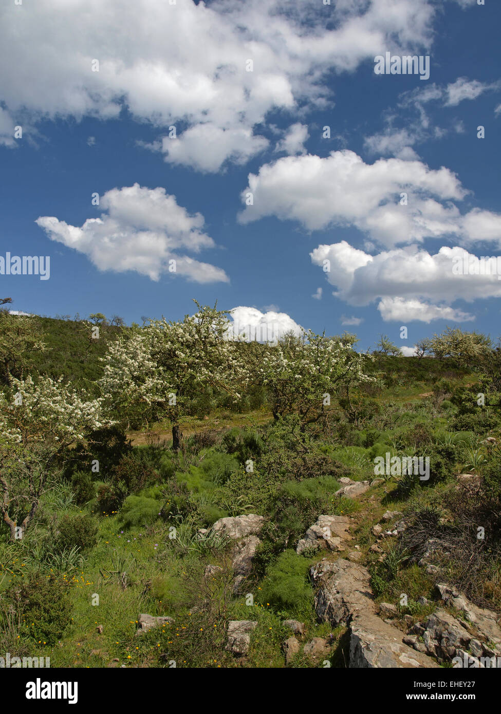 Sardinian scenery hi-res stock photography and images - Alamy