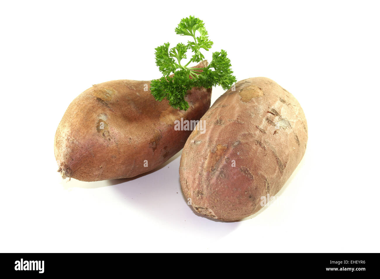 Ipomoea rot hi-res stock photography and images - Alamy