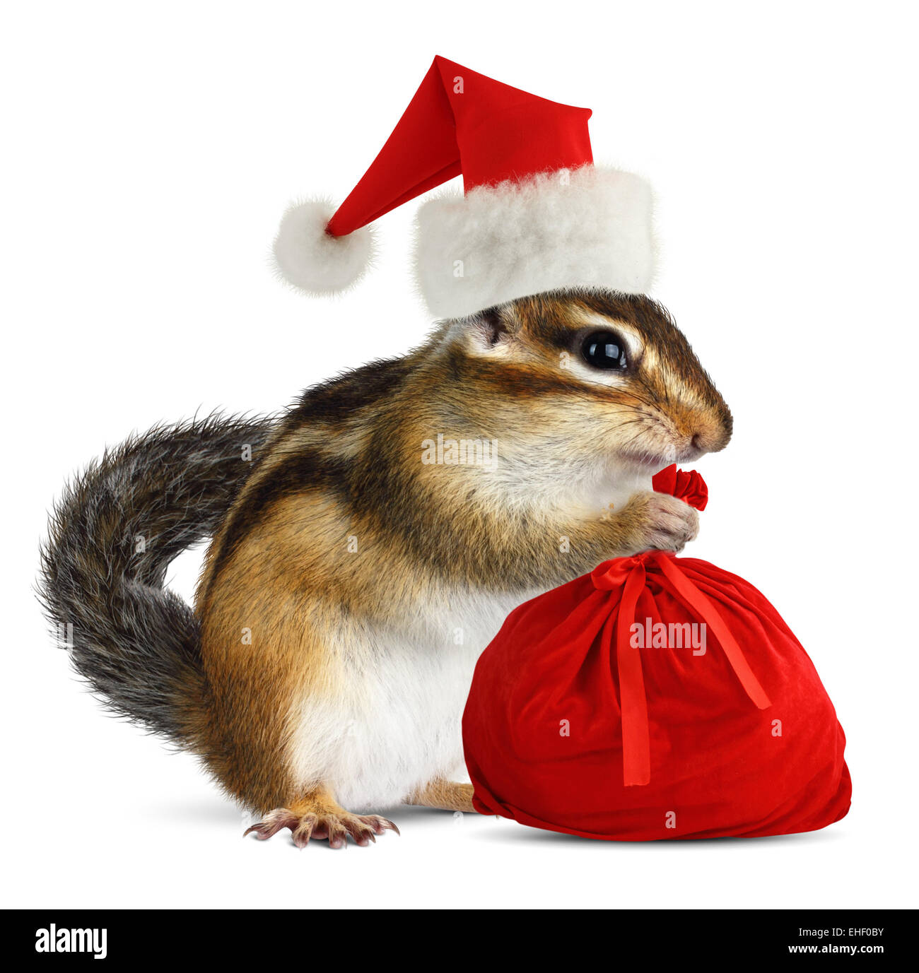 Chipmunk in red Santa Claus hat and bag with gifts on white background ...