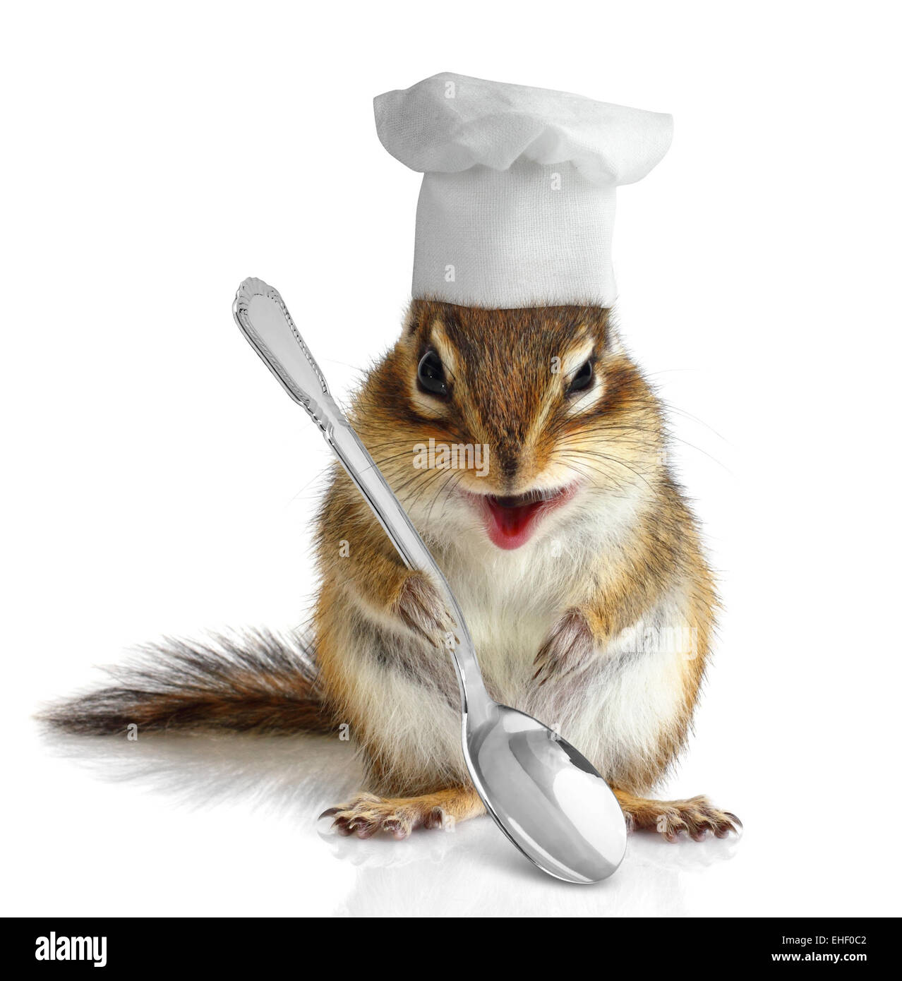 Funny chef hi-res stock photography and images - Alamy