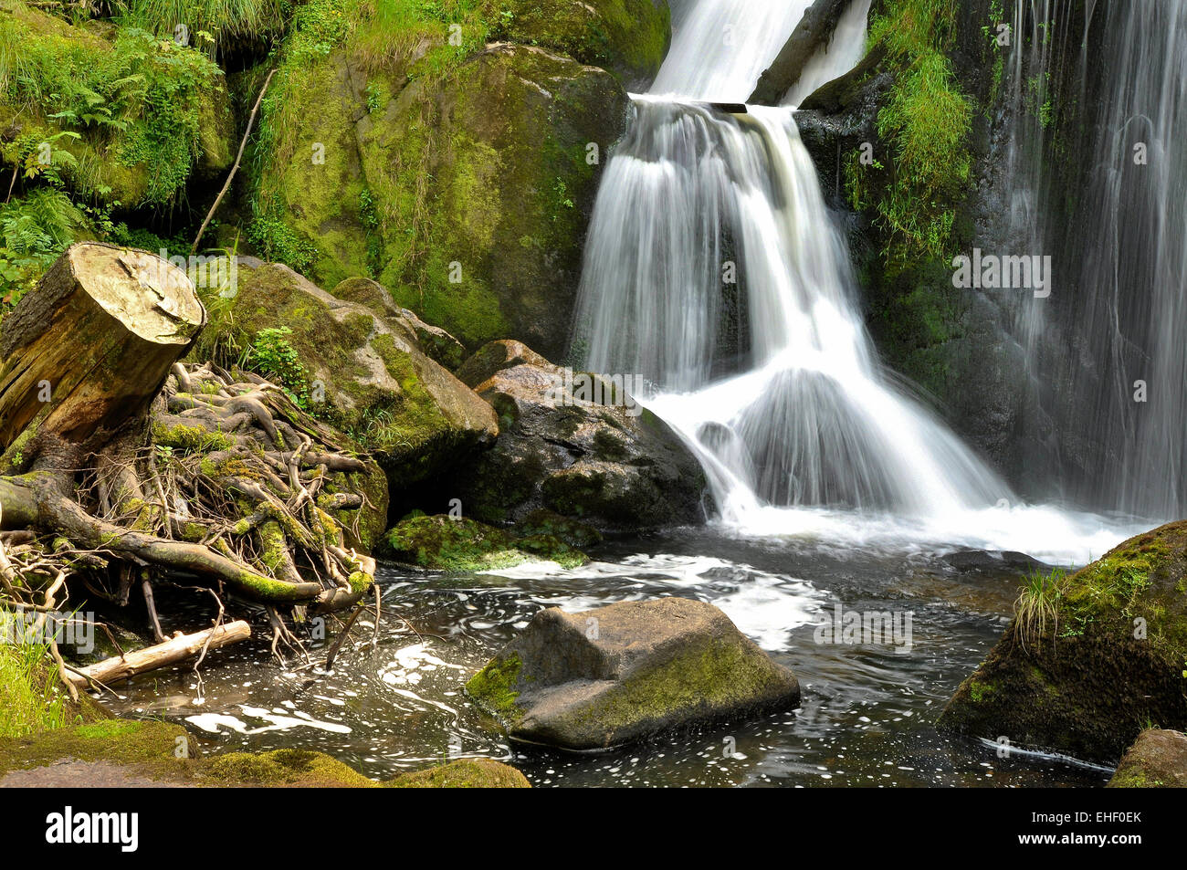 Black-Forest Waterfall germany Stock Photo - Alamy