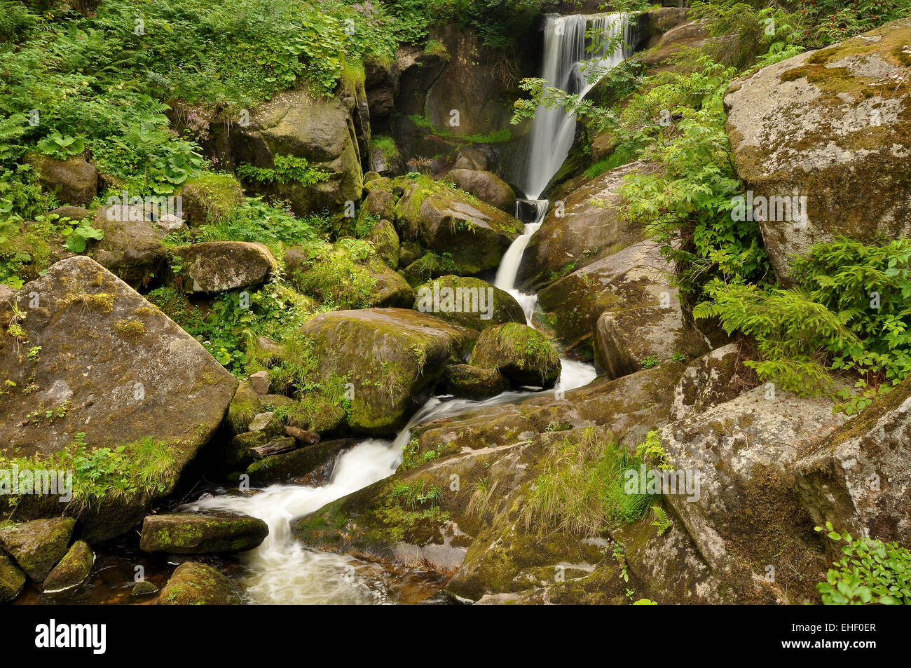 Black-Forest Waterfall germany Stock Photo - Alamy
