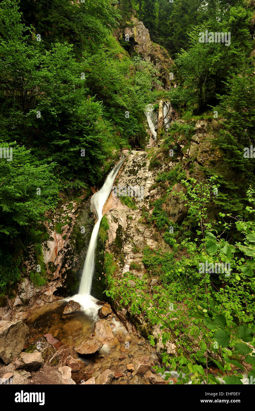 Black-Forest Waterfall germany Stock Photo - Alamy