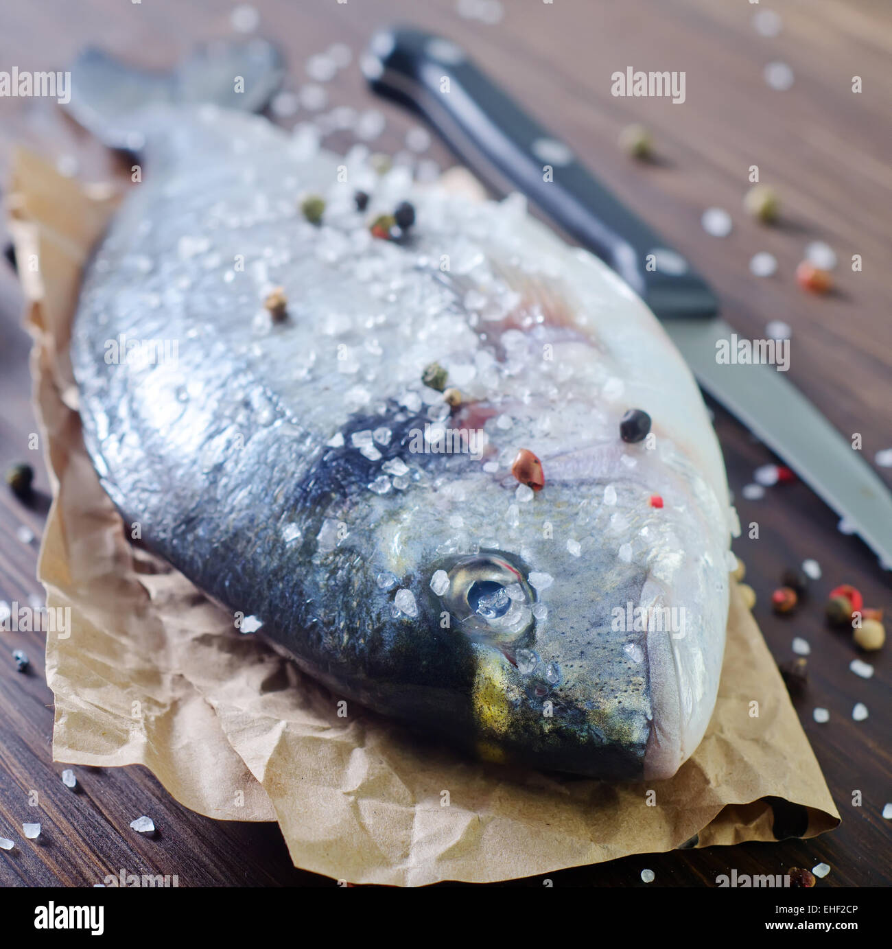 Freshwater fish european roach hi-res stock photography and images - Alamy