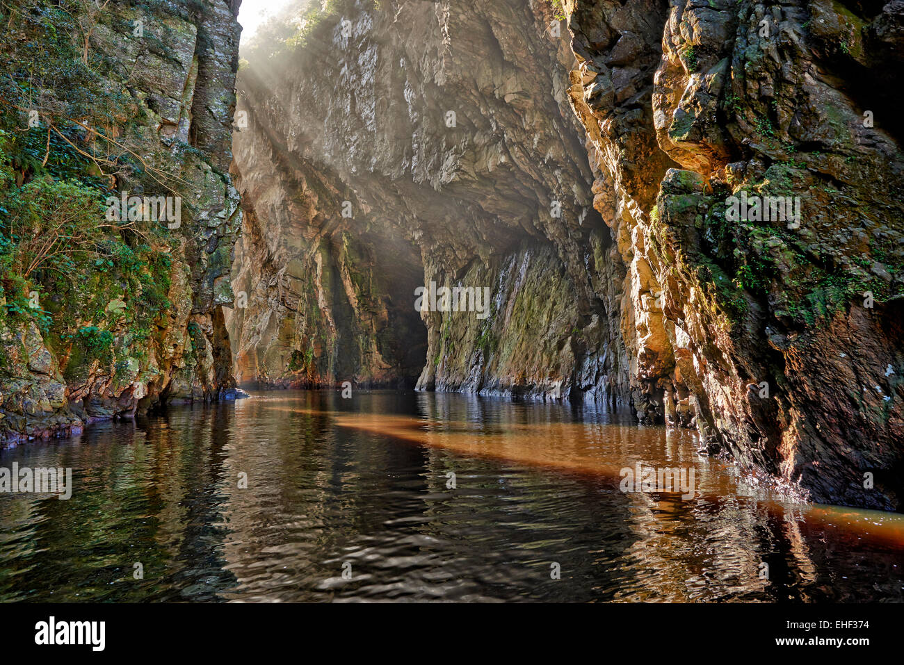 Storms River Gorge, Tsitsikamma National Park, Garden Route, Eastern ...