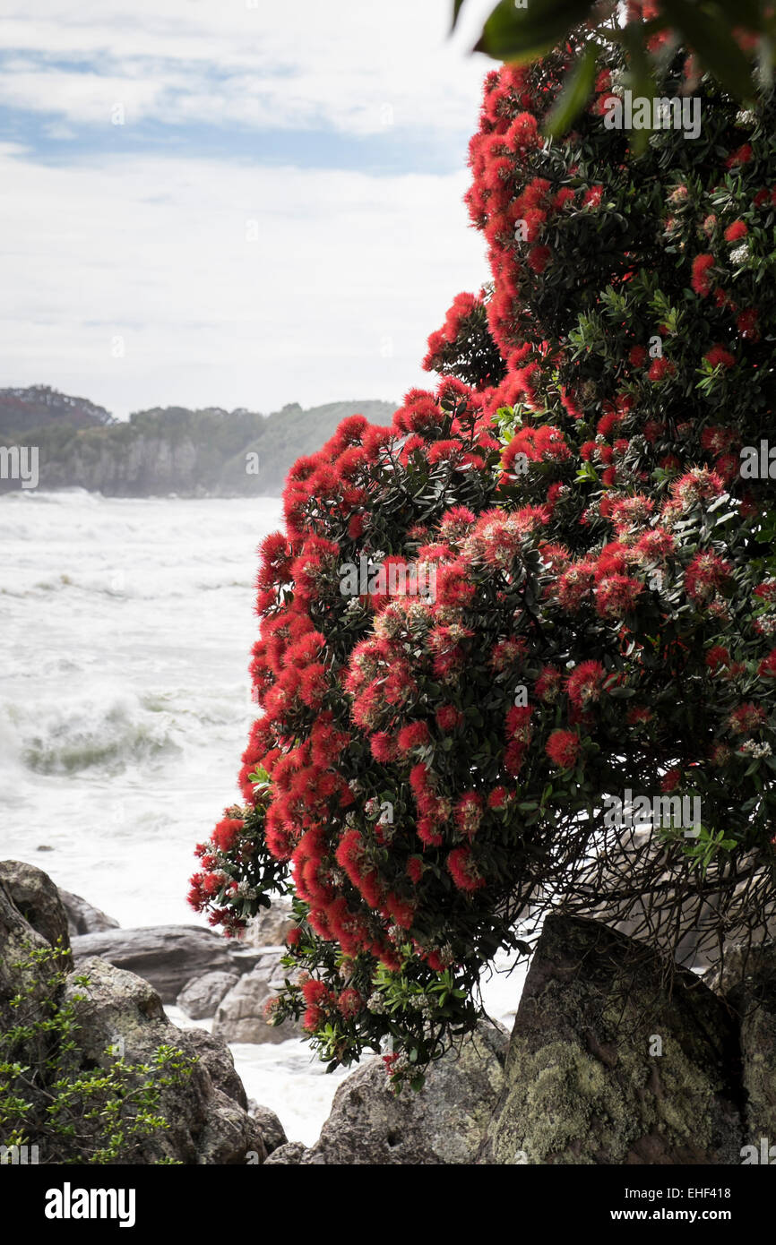 Coast around the base of Mauoa mountain in Tauranga, New Zealand Stock ...