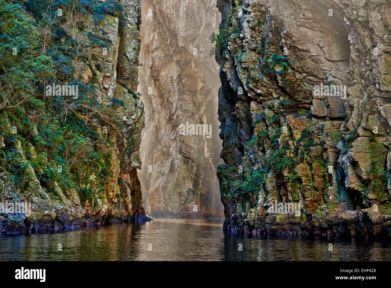 Storms River Gorge, Tsitsikamma National Park, Garden Route, Eastern ...