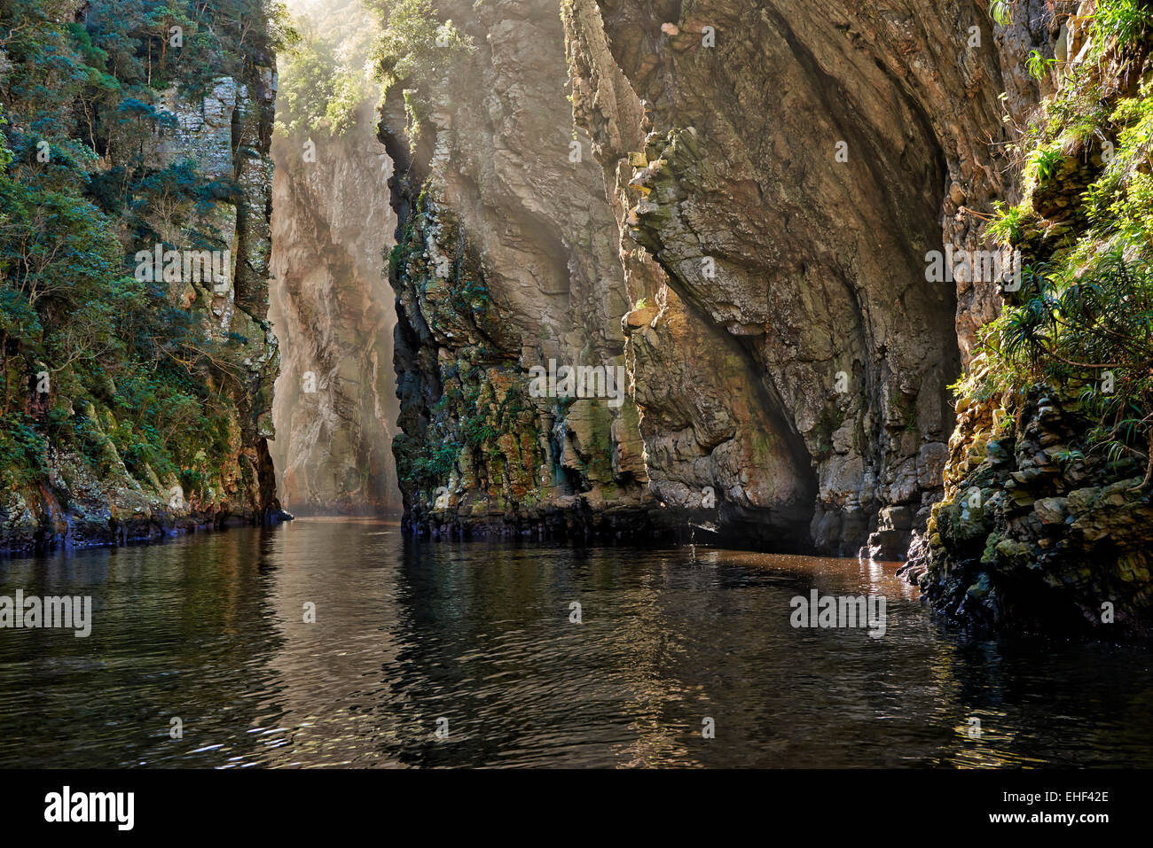 Storms River Gorge, Tsitsikamma National Park, Garden Route, Eastern ...