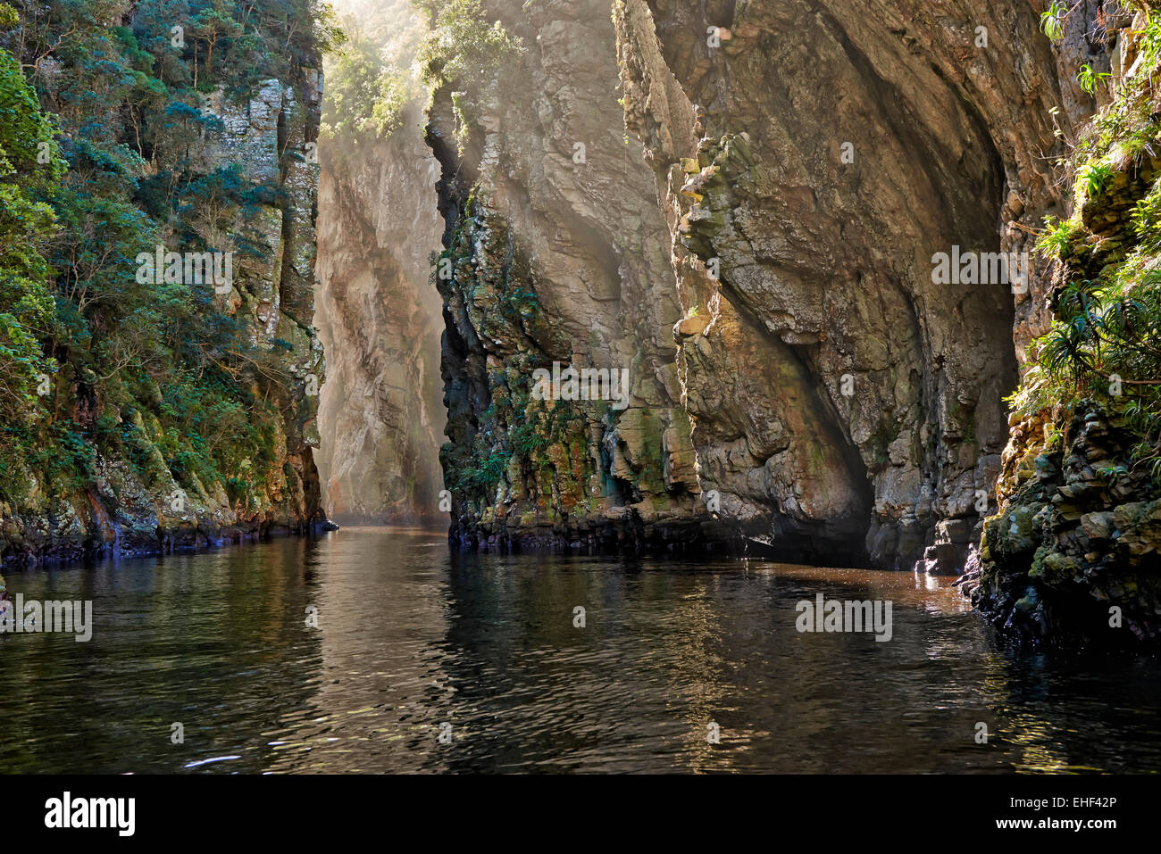 Storms River Gorge, Tsitsikamma National Park, Garden Route, Eastern ...