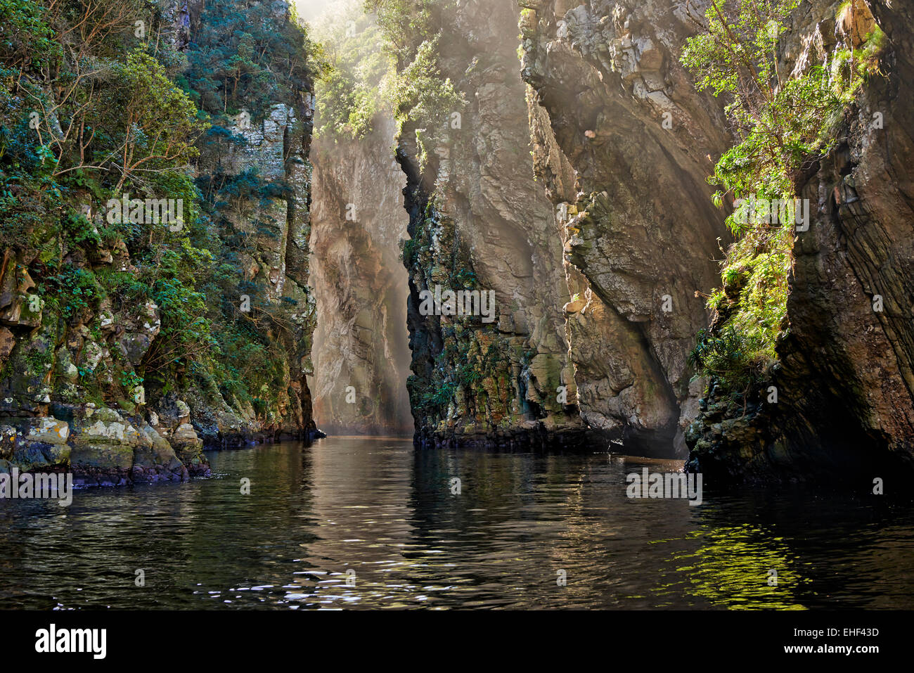 Storms River Gorge, Tsitsikamma National Park, Garden Route, Eastern ...