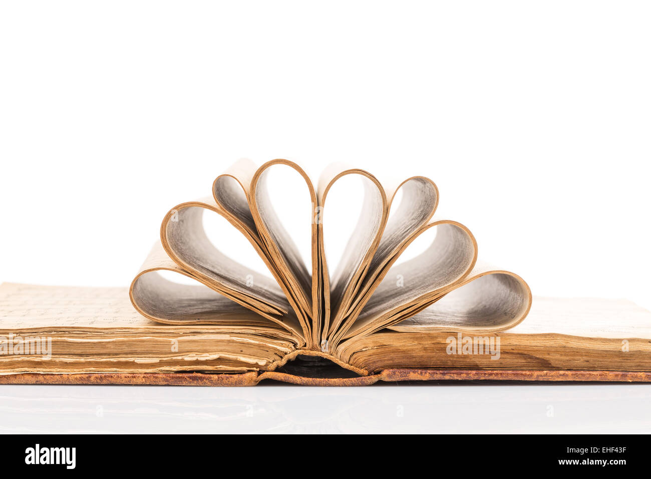 Open book with reflection isolated on white background Stock Photo - Alamy