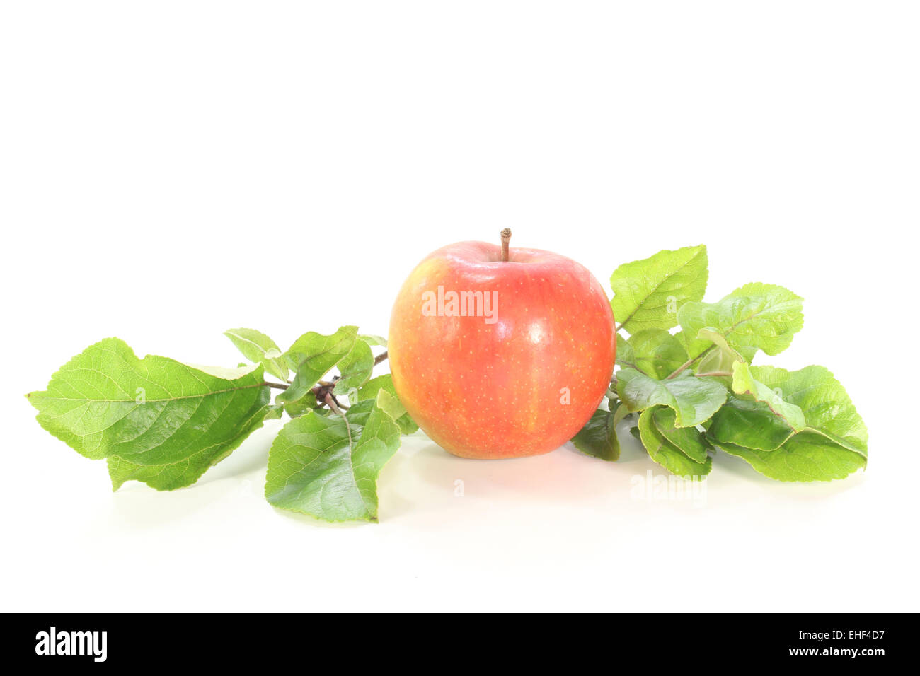 apple with leaves Stock Photo - Alamy