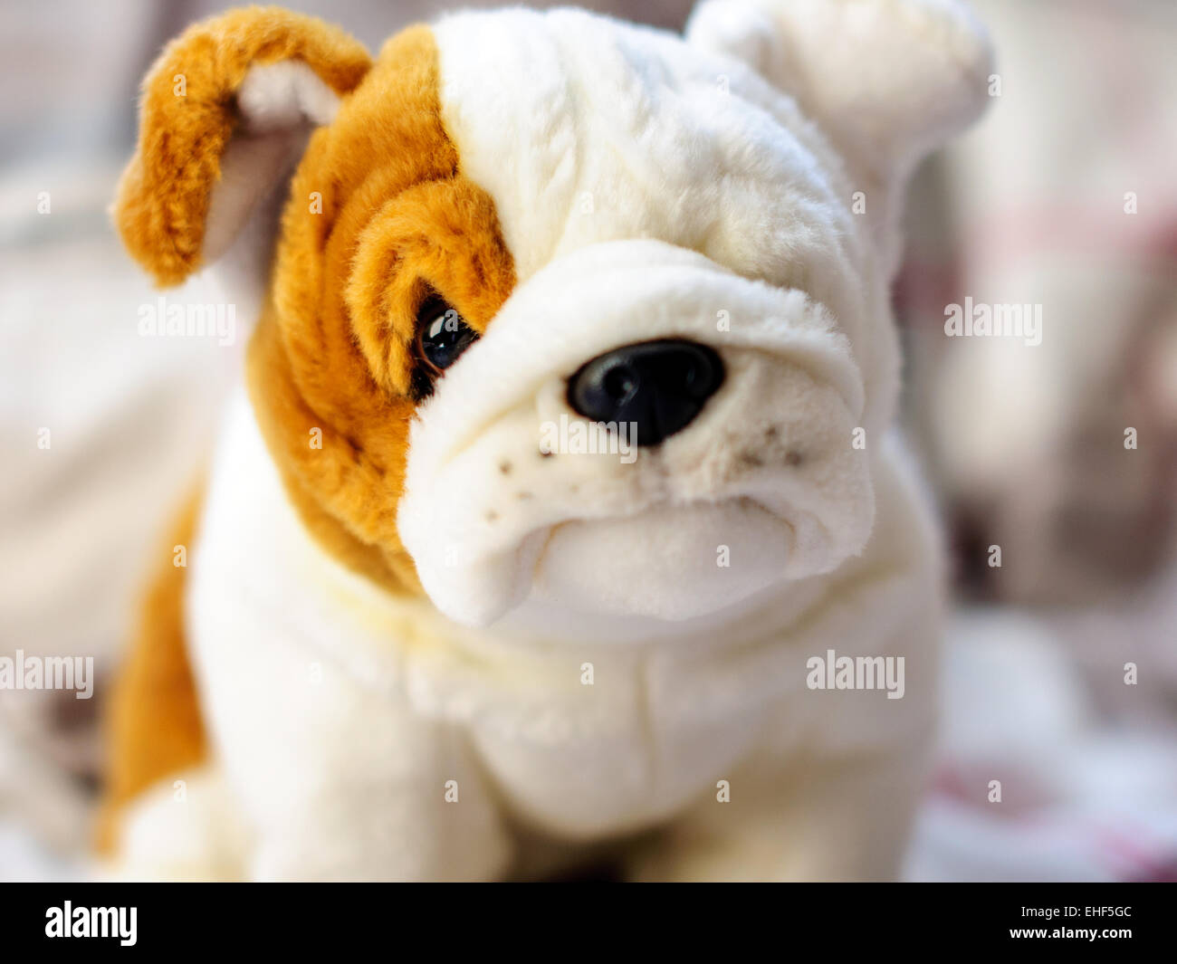 Plush toy dog, portrait Stock Photo - Alamy