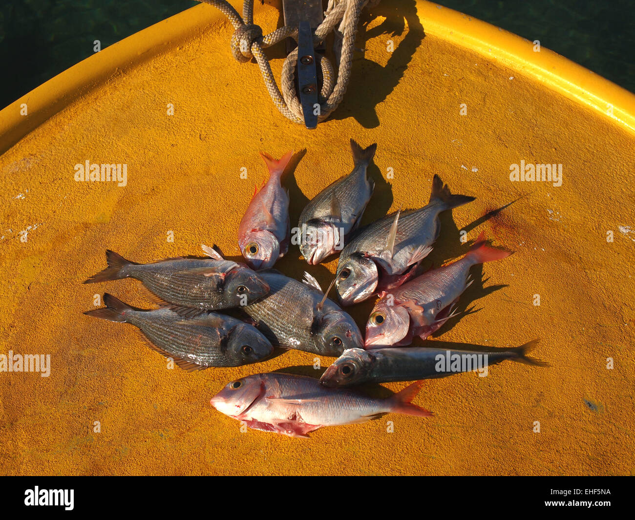 Boat being cleaned hi-res stock photography and images - Alamy