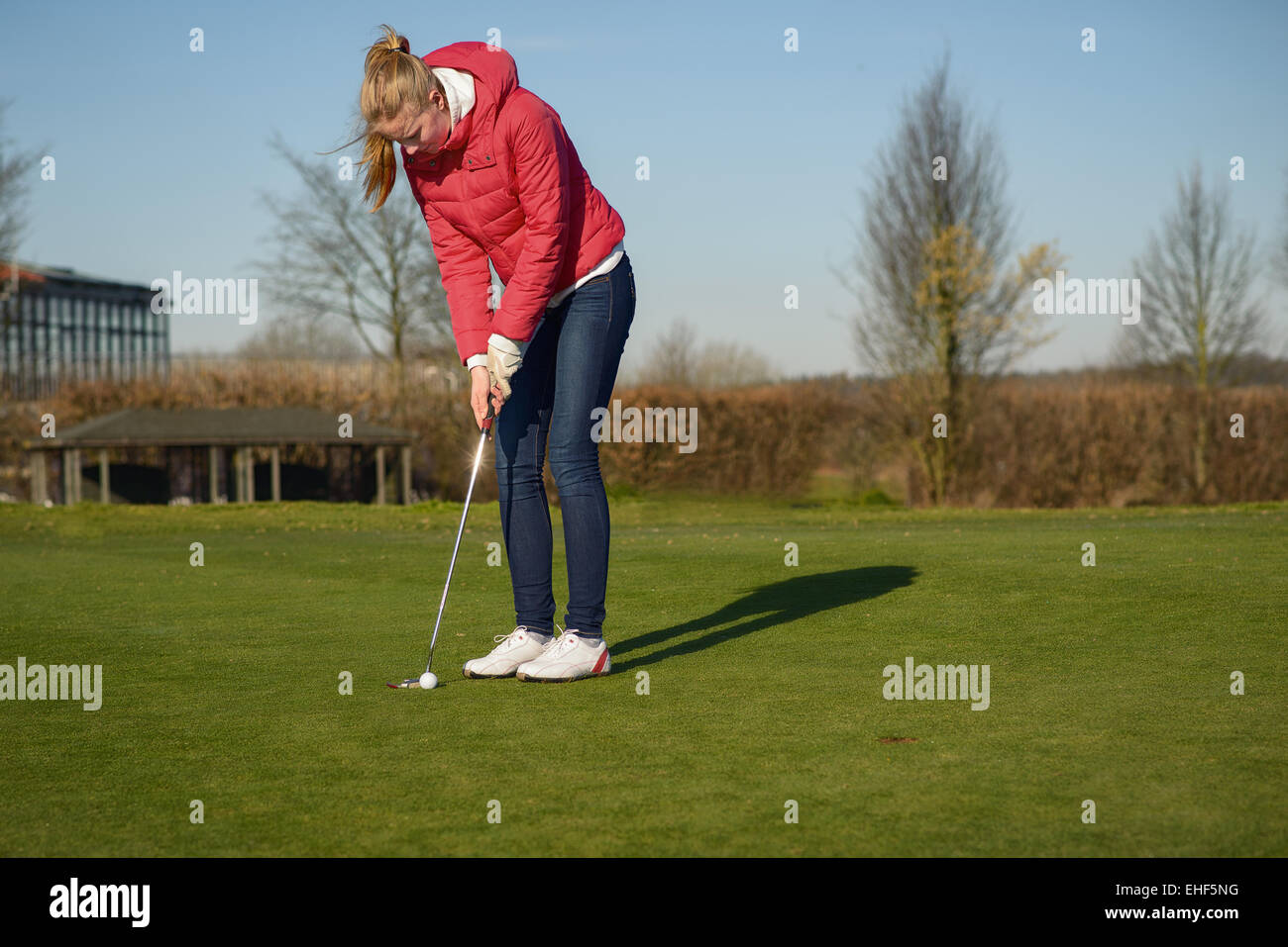 Woman playing golf lining up a putt on the green with her golf cart and ...