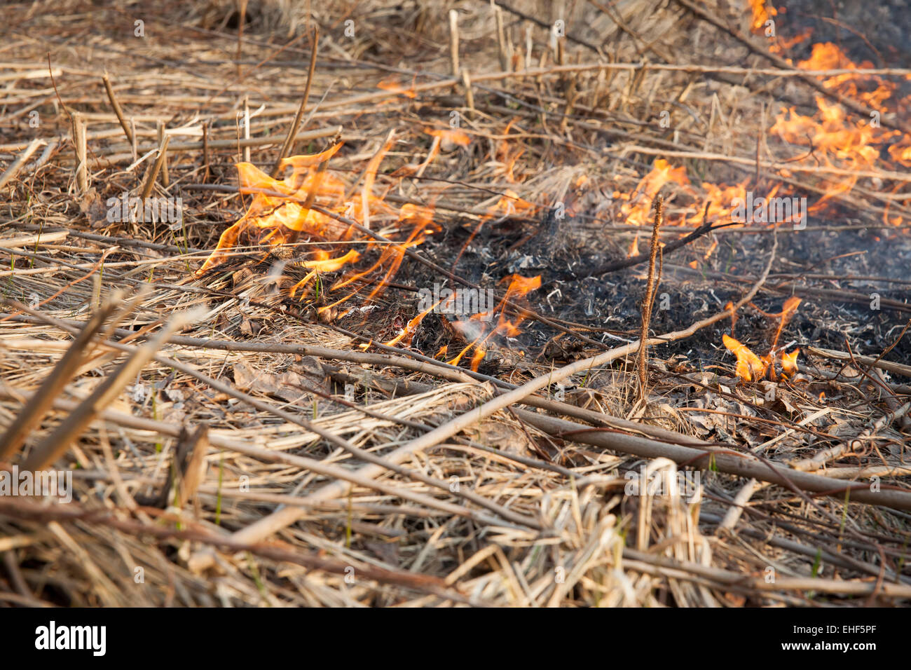 Bushes burning hi-res stock photography and images - Alamy